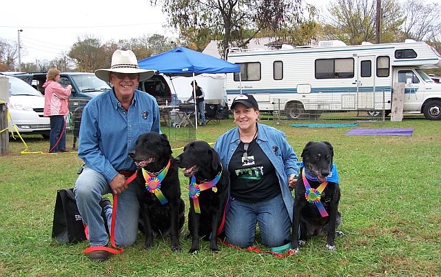 Co-Owned with Diane – Thimble Labrador Retrievers